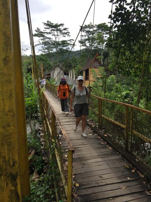 Bali: Sidemen Trekking with Besakih Temple Tour/Rafting - Key Points