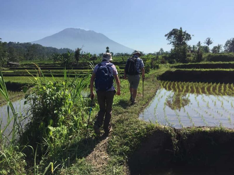 Bali: Sidemen Trekking with Besakih Temple Tour/Rafting - Setting Off: What You Can Expect from the Tour