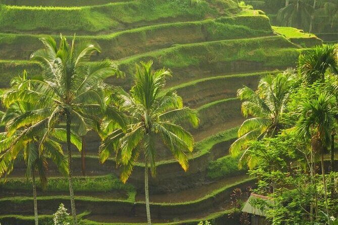 Bali Sightseeing - Final Thoughts on the Value