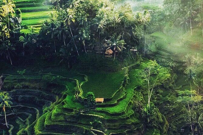 Bali Sightseeing - About the Provider