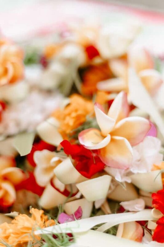 Bali: Slow Living with Yoga and Meditation - Key Points