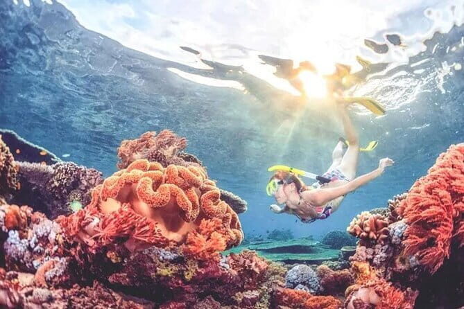 Bali Snorkeling at Blue Lagoon and Tanjung Jepun - Discover the Calm Waters of Blue Lagoon and Tanjung Jepun with a Bali Snorkeling Tour
