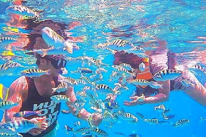 Bali Snorkeling at Blue Lagoon and Tanjung Jepun - Key Points