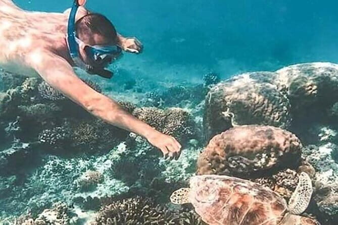 Bali Snorkeling at Blue Lagoon and Tanjung Jepun - Value and Practical Tips