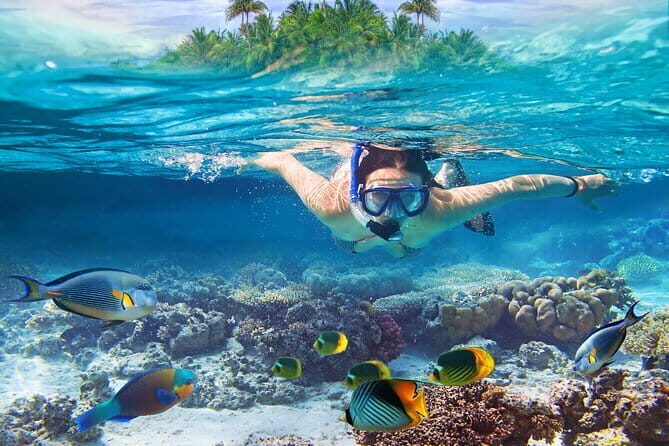 Bali Snorkeling at Blue Lagoon and Tanjung Jepun - The Sum Up: Is This Tour Worth It?