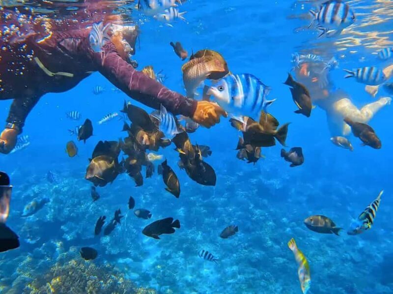 Bali: Snorkeling at Blue Lagoon and Tanjung Jepun with Lunch - Final Thoughts