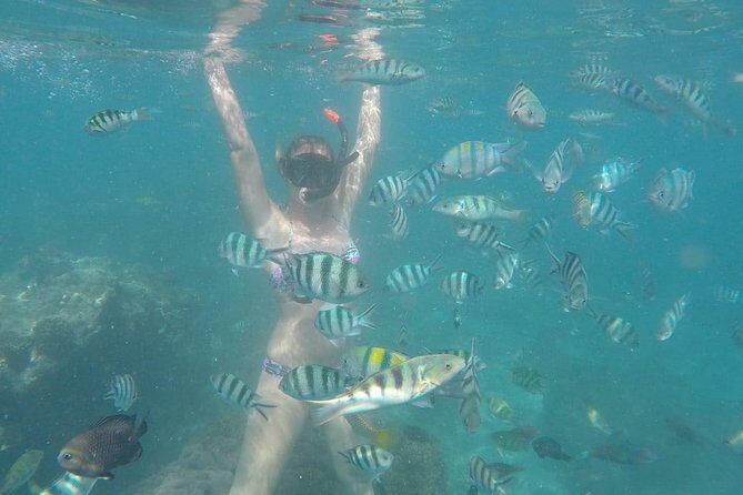 Bali Snorkeling at Blue Lagoon include private transport - Pricing and Value