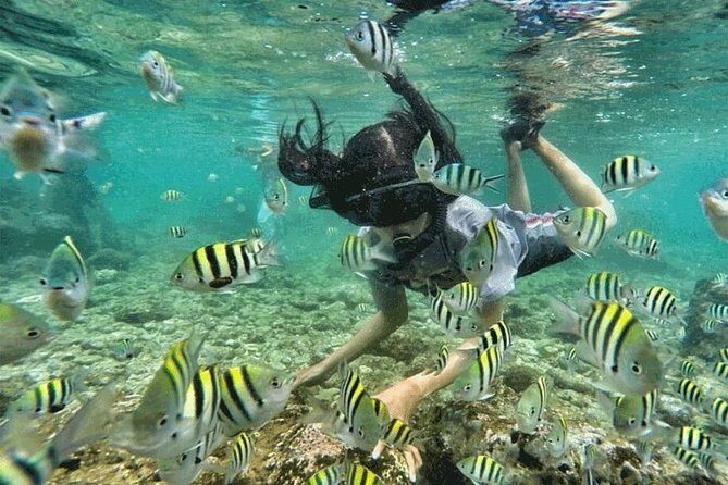 Bali Snorkeling at Blue Lagoon & Tanjung Jepun Beach: All-Inclusive - Exploring the Bali Snorkeling Tour in Detail