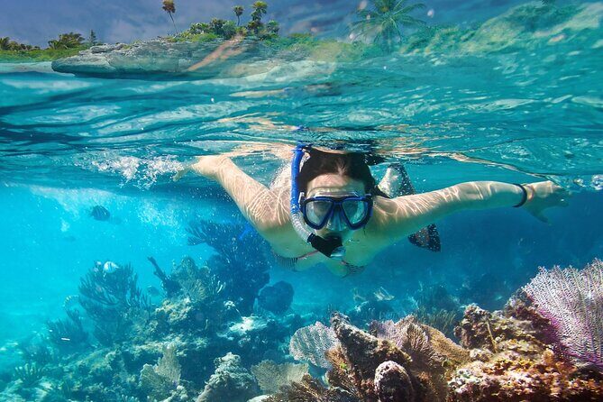 Bali Snorkeling at Blue Lagoon with Kusamba and Bat Cave Temple - What Makes This Tour Worth Considering?
