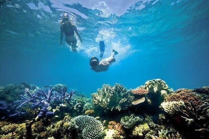 Bali Snorkeling at Blue Lagoon with Private Transfer - An In-Depth Look at the Blue Lagoon Snorkeling Tour