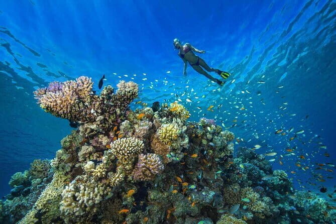 Bali Snorkeling at Blue Lagoon with Private Transfer - The Sum Up