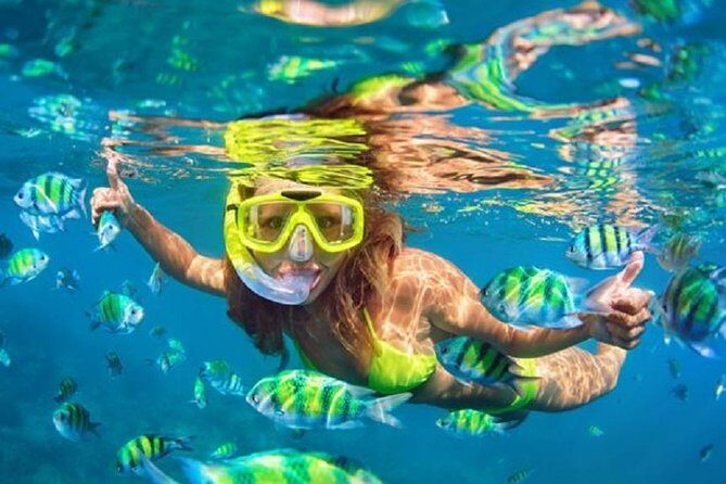 Bali Snorkeling at Blue Lagoon with Transport and Lunch - Introduction: Why This Tour Stands Out