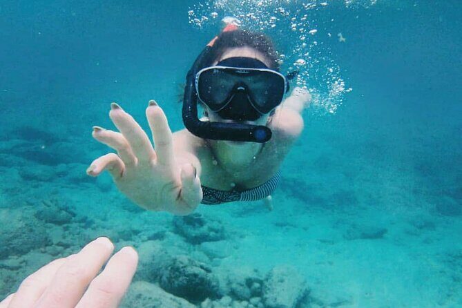 Bali Snorkeling at Blue Lagoon with Transport and Lunch - Who Will Love This Tour?