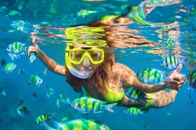 Bali Snorkeling At Bluelagoon Beach With Lunch Private Transport - An In-Depth Look at the Bali Snorkeling Experience