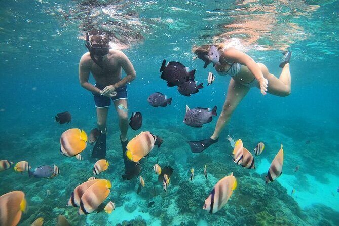 Bali Snorkeling At Bluelagoon Beach With Lunch Private Transport - The Sum Up—Does This Tour Offer Real Value?