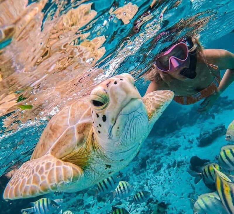 Bali : Snorkeling at two Spots with Lunch and transport - Key Points