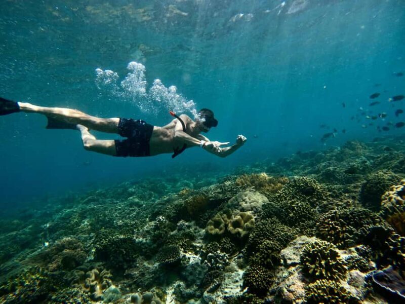 Bali: Snorkeling Blue Lagoon 2 Spot & Lunch optional Village - The Itinerary: What to Expect