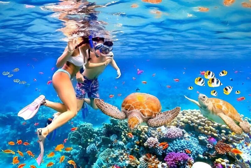 Bali: Snorkeling Blue Lagoon 2 Spot & Lunch optional Village - The Balance of Value and Experience