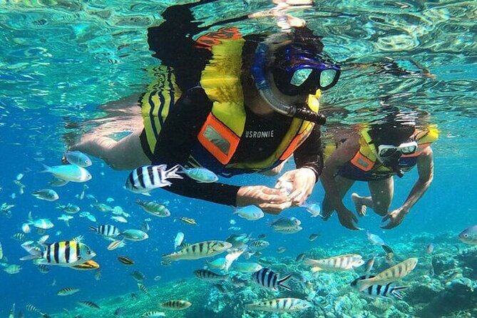 Bali Snorkeling Blue Lagoon and ATV Quad Bike Adventure - Introduction