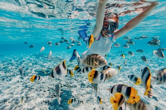 Bali Snorkeling Blue Lagoon and ATV Quad Bike Adventure - The Sum Up