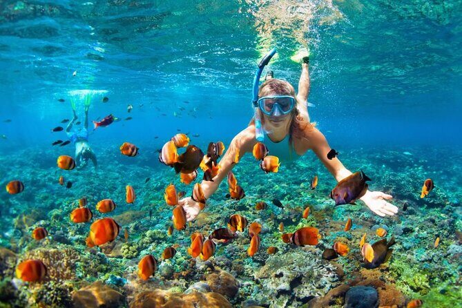 Bali Snorkeling Blue Lagoon Beach Include Lunch & Transport - Key Points