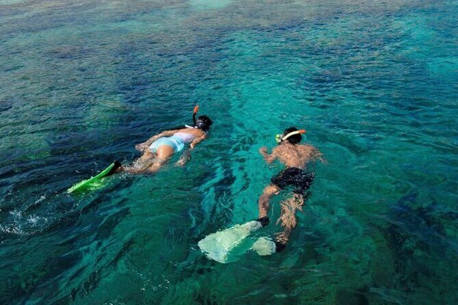Bali Snorkeling Blue Lagoon Beach Include Lunch & Transport - Who Should Consider This Tour?