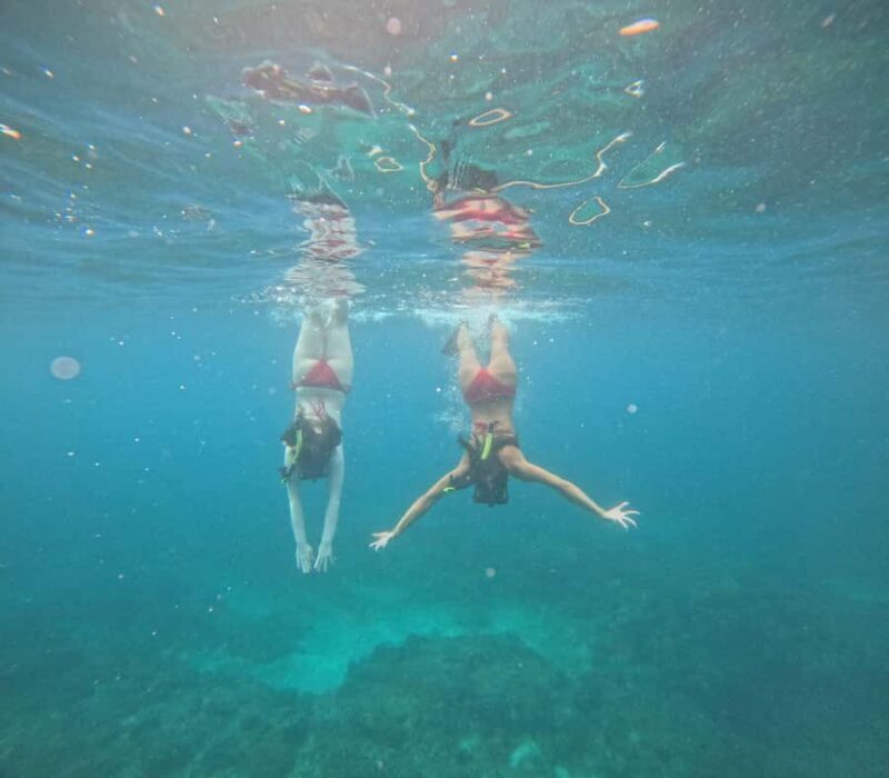 Bali: Snorkeling Experience in Blue Lagoon and Tanjung Jepun - An Introduction to the Bali Snorkeling Tour