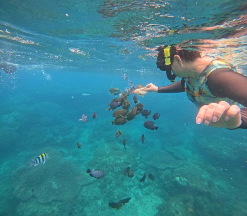 Bali: Snorkeling Experience in Blue Lagoon and Tanjung Jepun - The Details That Matter
