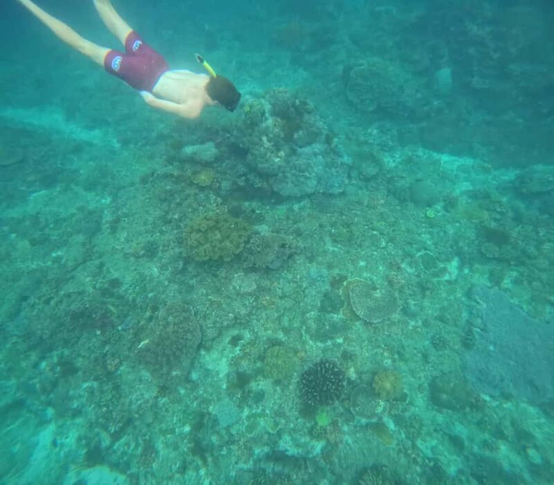 Bali: Snorkeling Experience in Blue Lagoon and Tanjung Jepun - FAQ