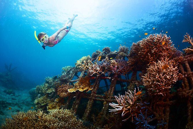 Bali Snorkeling Tour at Amed - Experience and Authenticity