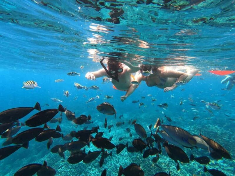 Bali: Snorkeling Trip to Blue Lagoon with Private Pickup Car - Return journey and drop-off