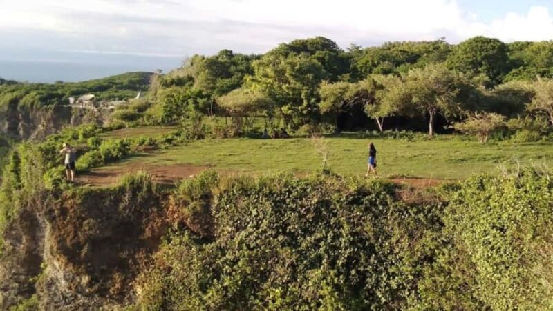 Bali: South Bali Tour with Turtle Sanctuary & Transfer Hotel - Beach Options: Melasti or Padang Padang