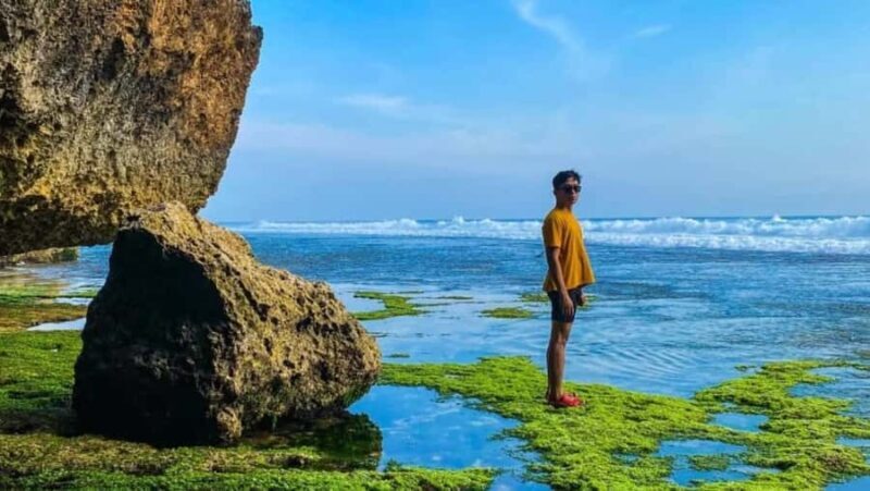 Bali: South Bali Tour with Turtle Sanctuary & Transfer Hotel - Overall Experience and Practical Details