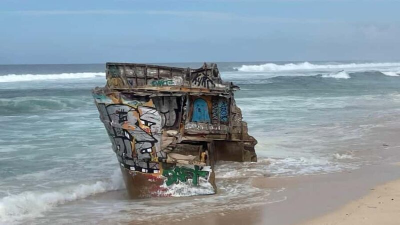 Bali: South Bali Tour with Turtle Sanctuary & Transfer Hotel - The Sum Up