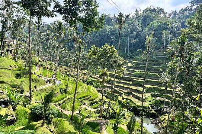Bali Spiritual: Balinese Healing, Temple & Rice Terrace - Authentic Experiences and Genuine Reviews
