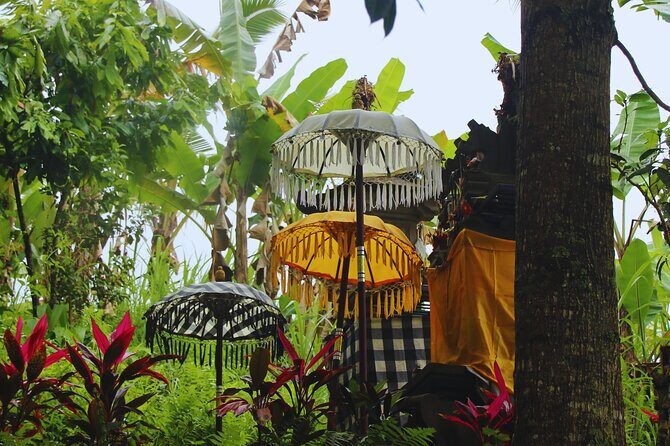 Bali Spiritual: Blessing Ceremony, Pristine Nature and Transfer - Key Points