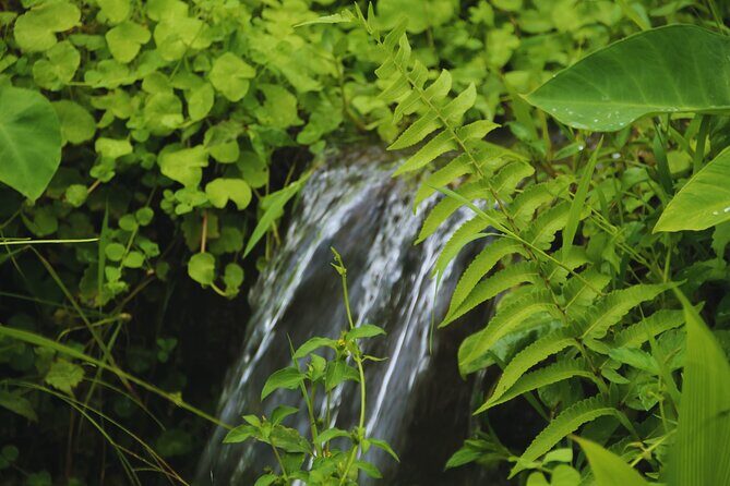 Bali Spiritual: Blessing Ceremony, Pristine Nature and Transfer - An In-Depth Look at Bali Spiritual: Blessing Ceremony, Pristine Nature & Transfer