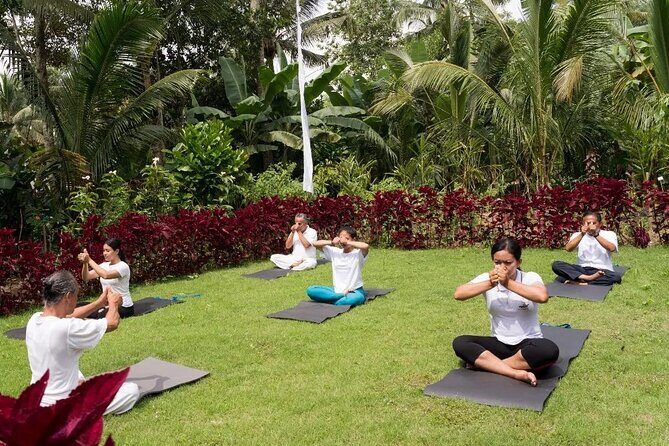 Bali Spiritual: Palm Reading, Purification, and Healing - An In-Depth Look at What to Expect