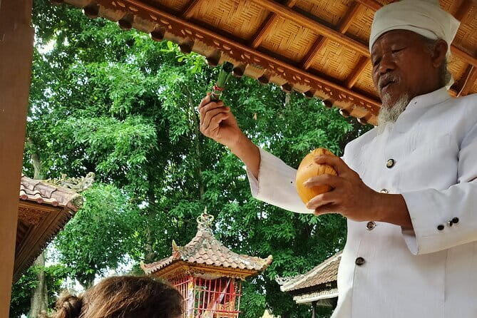 Bali Spiritual Shamanic-Palm Reading, Temple Healing Tour - Key Points