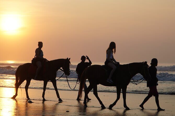 Bali Sunrise Horse Riding and Tour - Key Points