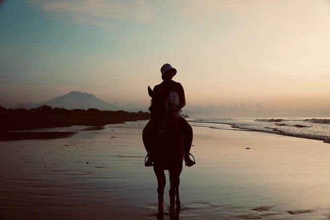 Bali Sunrise Horse Riding Experience Include Transfer - Key Points