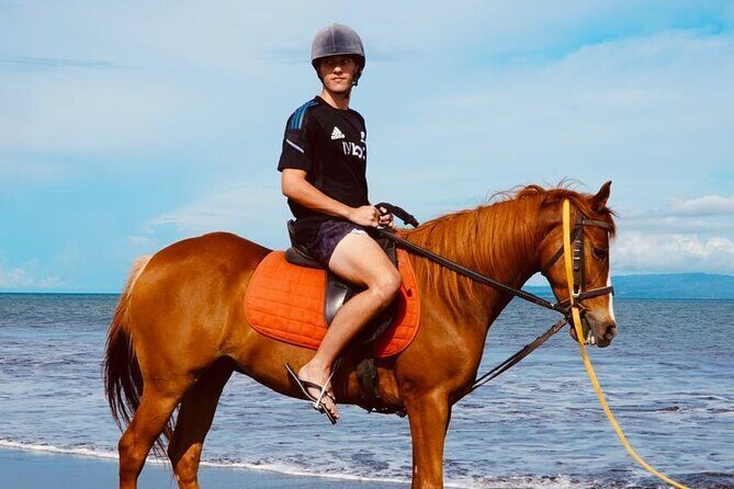 Bali Sunrise Horse Riding Experience Include Transfer - An In-Depth Review of the Bali Sunrise Horse Riding Experience