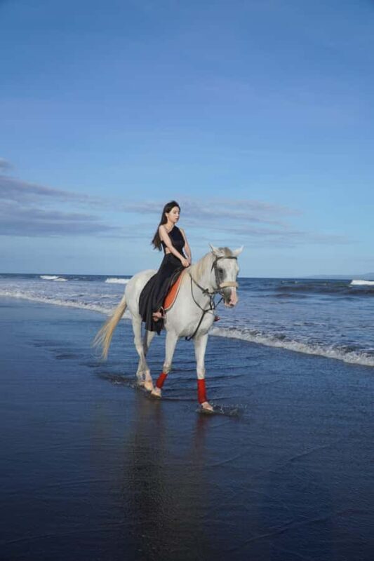 Bali: Sunrise Horse Riding Sanur Beach Experience - What Is the Bali Sunrise Horse Riding Sanur Beach Experience?