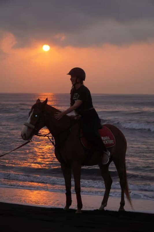 Bali: Sunrise Horse Riding Sanur Beach Experience - The Experience’s Strengths and Limitations