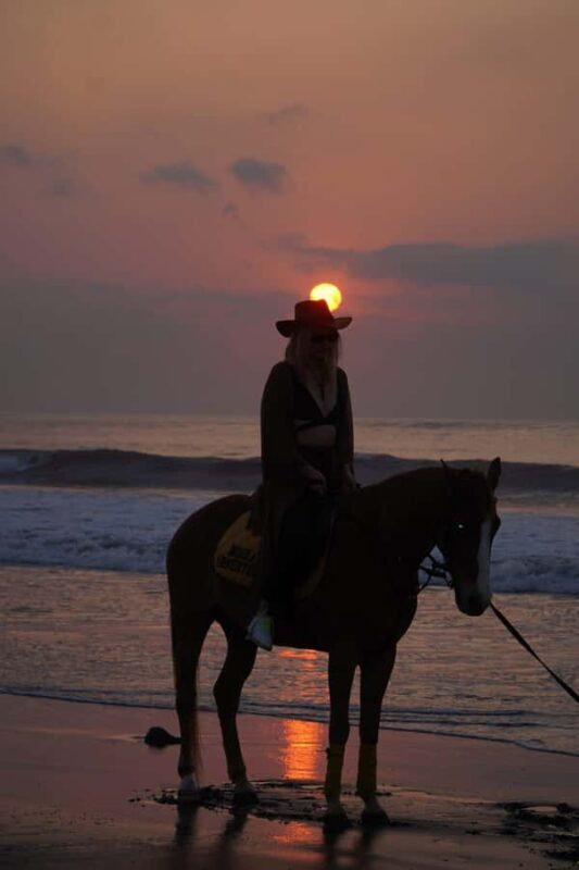 Bali: Sunrise Horse Riding Sanur Beach Experience - Who Will Love This?
