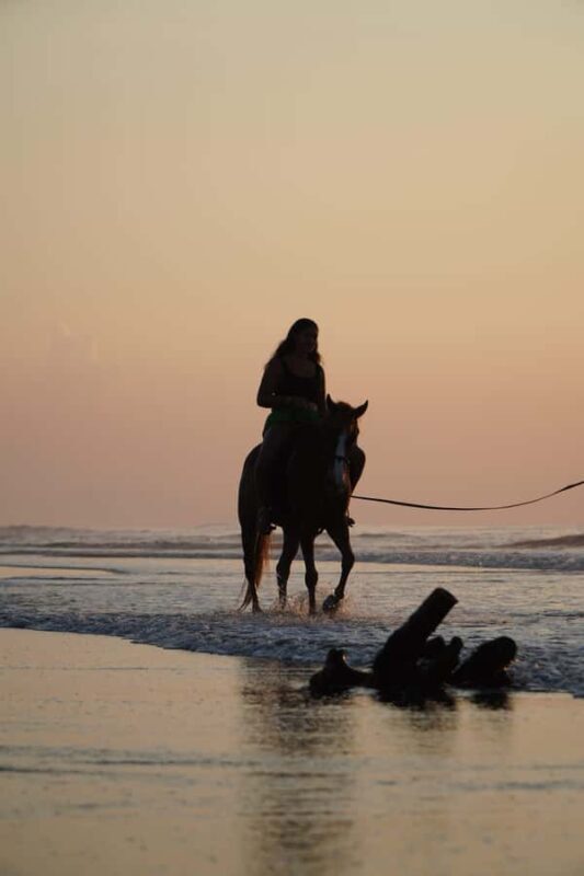 Bali: Sunrise Horse Riding Sanur Beach Experience - Practical Tips for Travelers