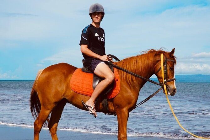 Bali Sunrise Horse Riding Sanur Beach Tour Include Transport - The Practicalities — Transport, Safety, and Booking