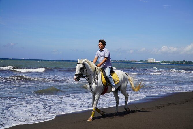 Bali Sunrise Horse Riding Sanur Beach Tour Include Transport - Price and Value — Is it Worth It?