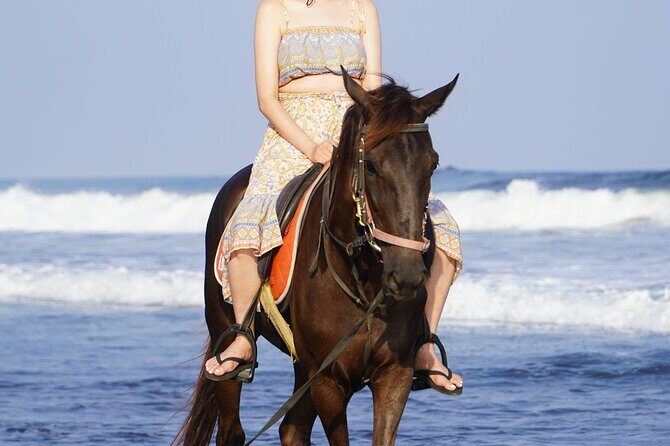 Bali Sunrise Horse Riding Sanur Beach Tour Include Transport - Who Is This Tour Best For?