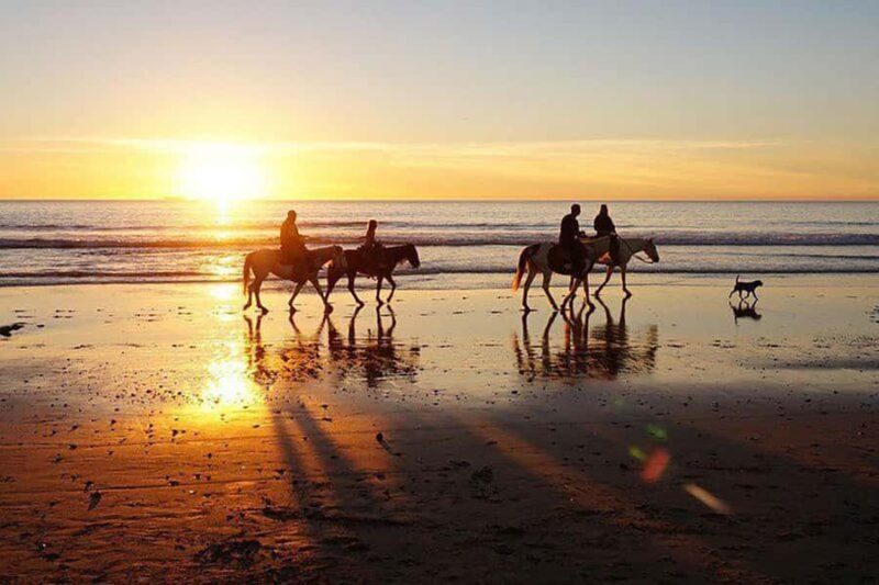Bali Sunset Horse Ride by the Kedungu Beach - An Overview of the Experience